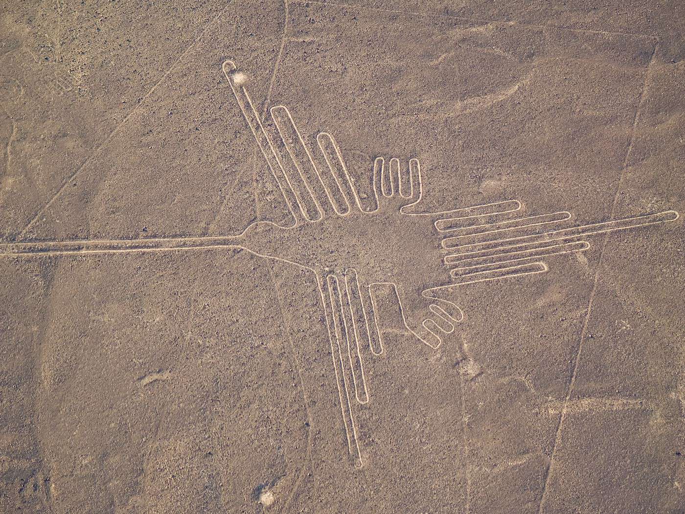 Lignes et géoglyphes de Nazca (pétroglyphes du Pérou) - Guide voyage