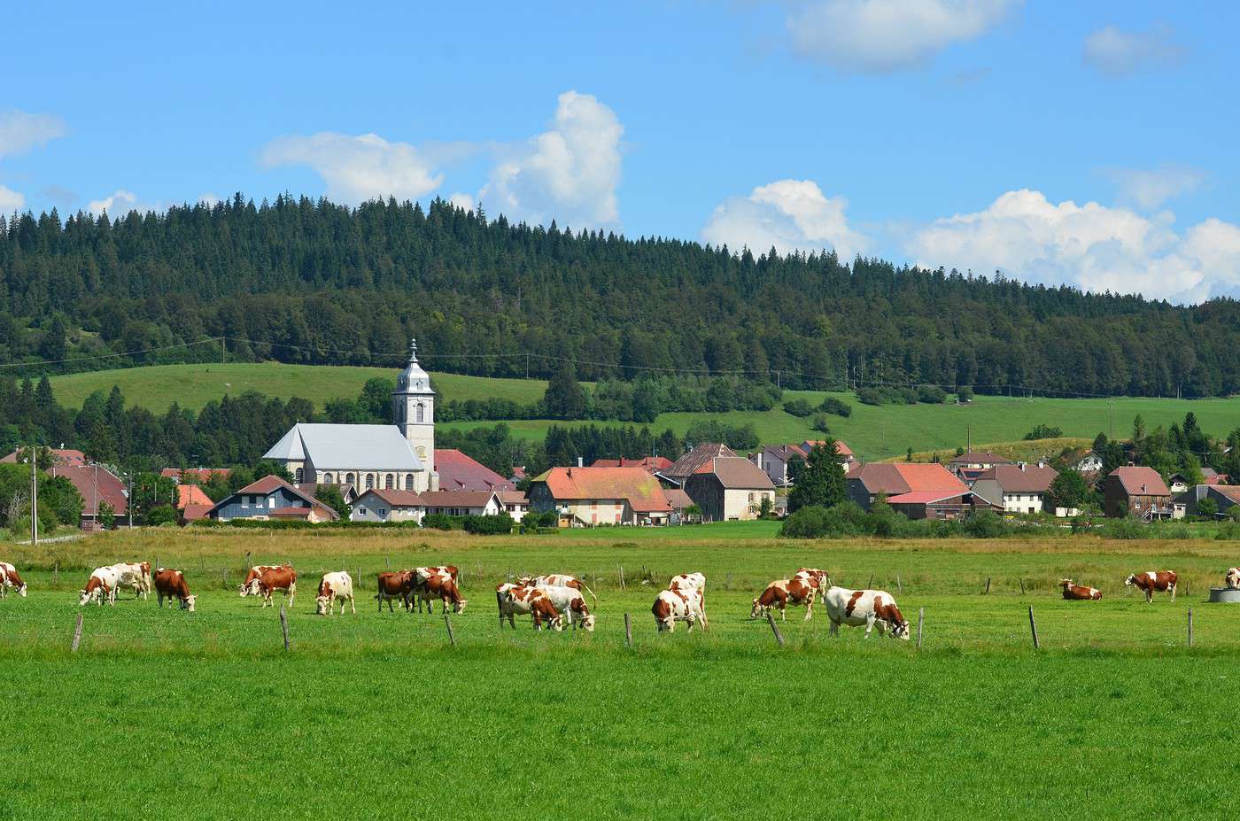 Mouthe (station de ski de la France) - Guide voyage
